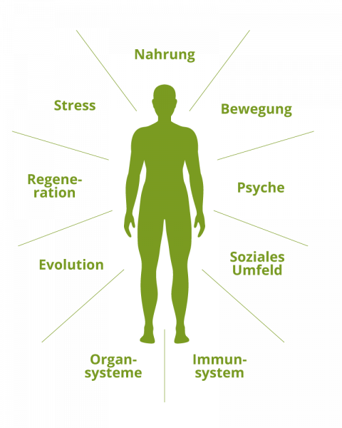 System Mensch - Naturpraxis Katja Schmidt